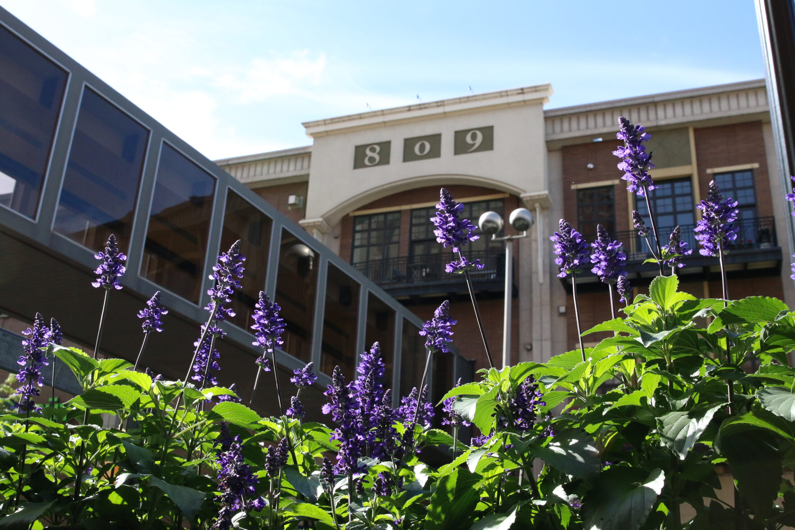 Volunteer to Get Dirty for Downtown: Spring Clean Week, April 29 ...